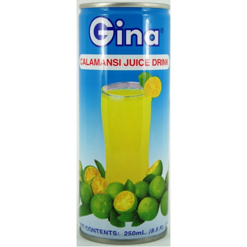 Gina Calamansi Juice 250ml – Only Filipino